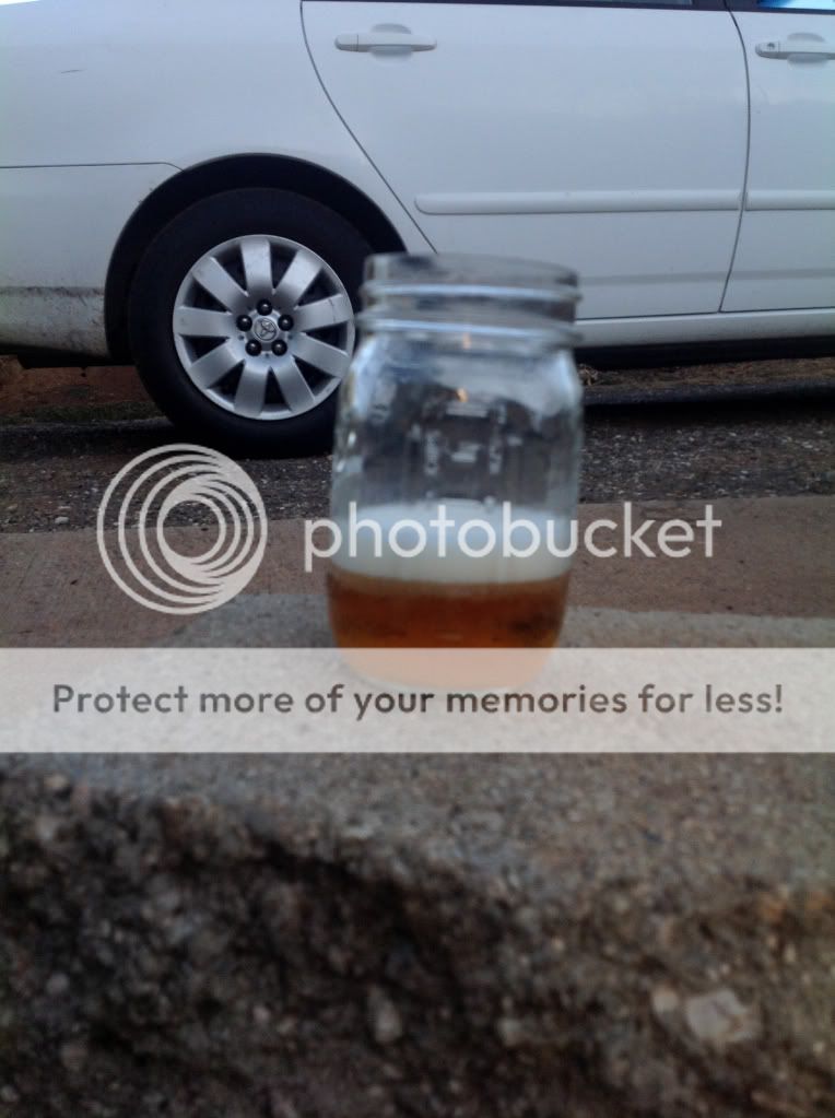 Drano gender test results! Warning: picture of my pee included ...